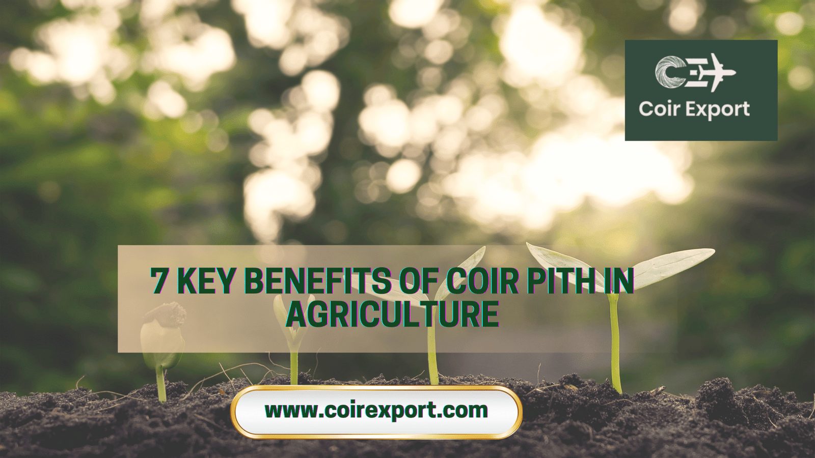 7 Key Benefits of Coir Pith in Agriculture | Coirexport